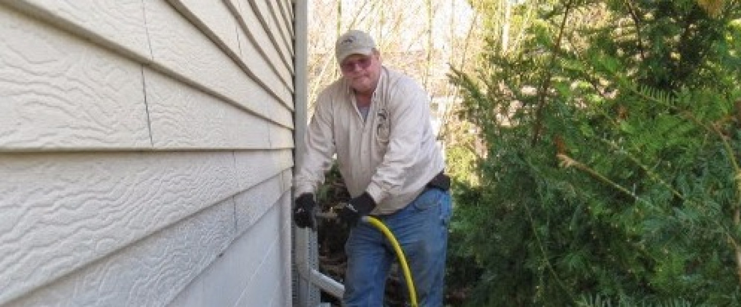 Pest Control Services - Bed Bugs - Mosquitos - Cockroaches | Quality ...